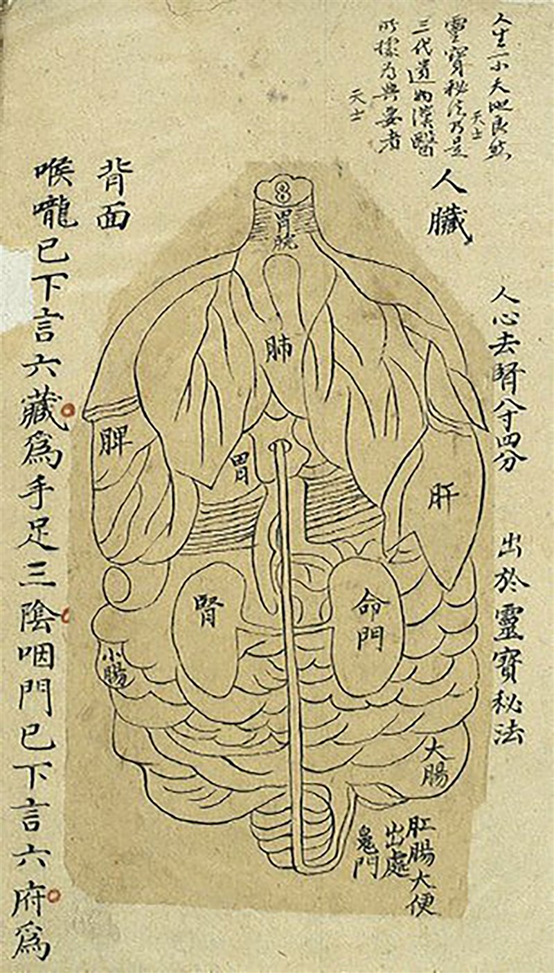 Hua Tuo, il medico cinese che 1800 anni fa usò l'anestesia