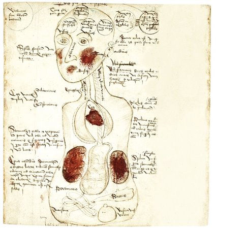 Aristotele e il mistero della vita