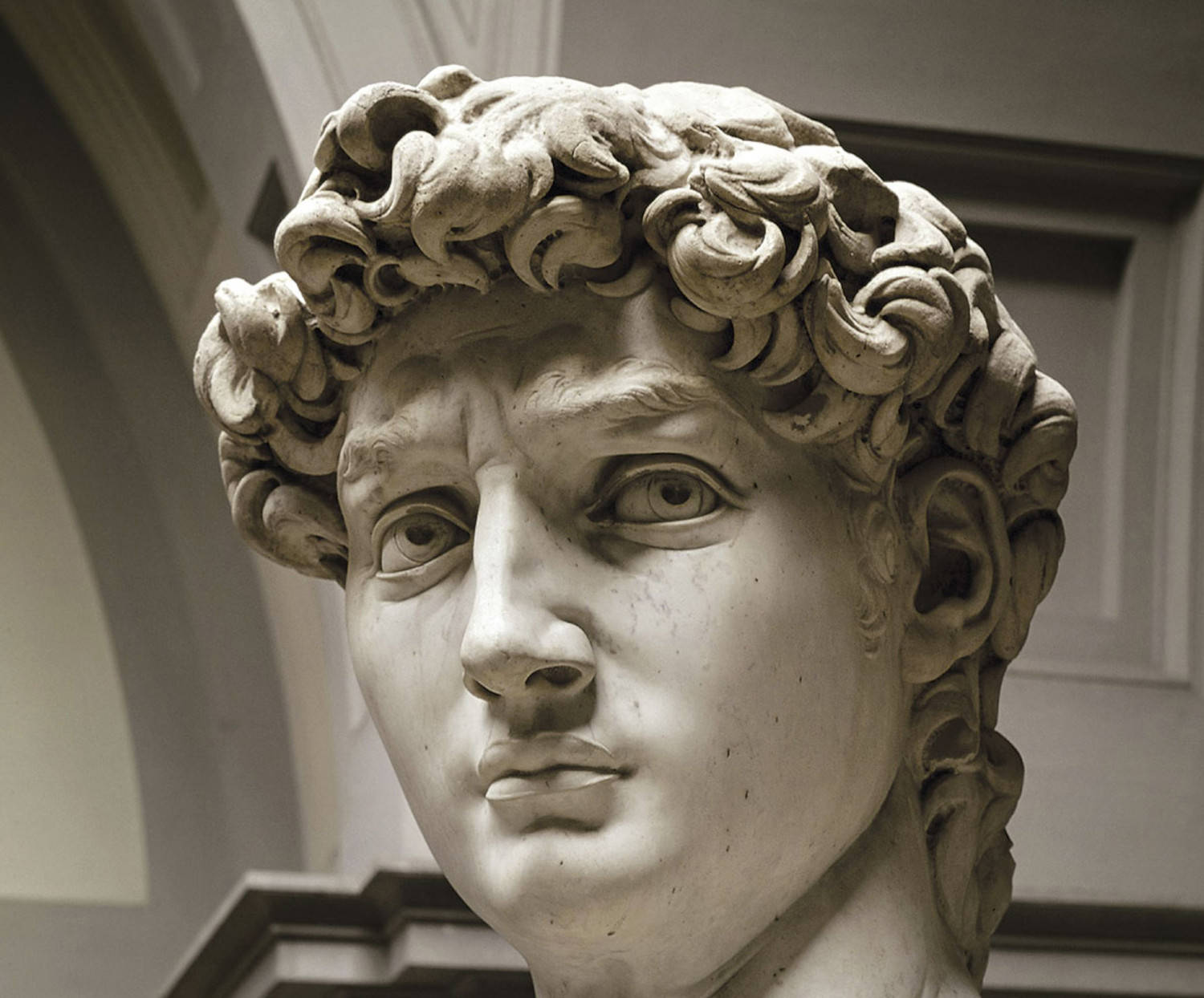 Il David di Michelangelo in dettaglio