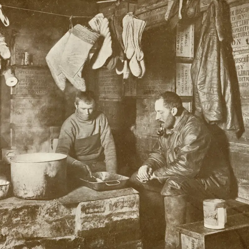 Il sìlfio, la pianta miracolosa scomparsa nel I secolo