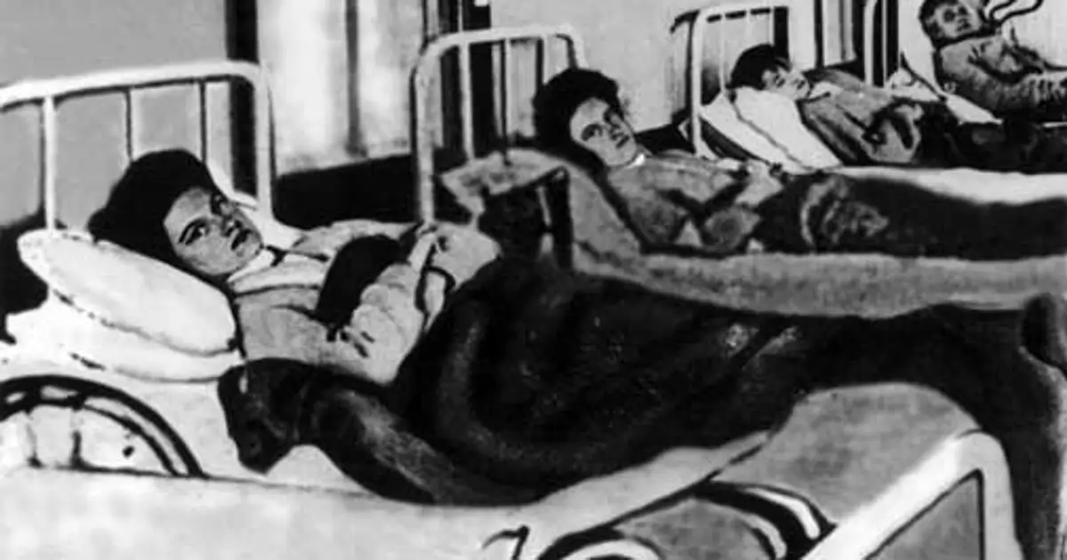 Maria «la tifoidea», la cuoca asintomatica